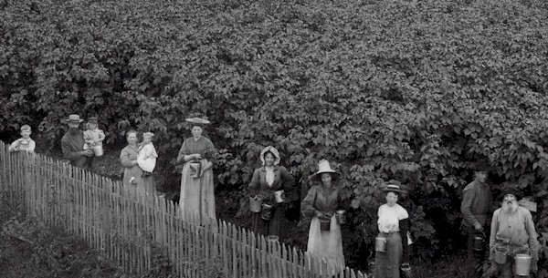Boise Creek Farm – Established in 1927; home of the Ames family since 1998.